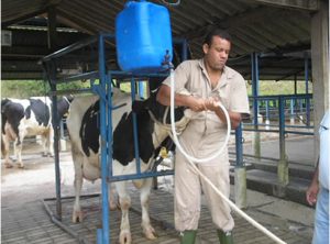 Análise do líquido ruminal: quais os parâmetros para avaliação?