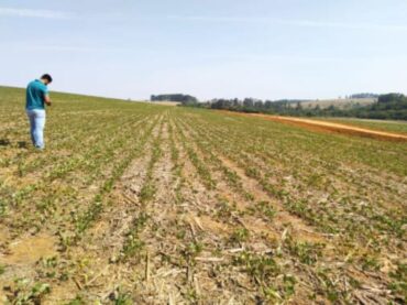 Ambiente físico do solo: quais são as principais características?