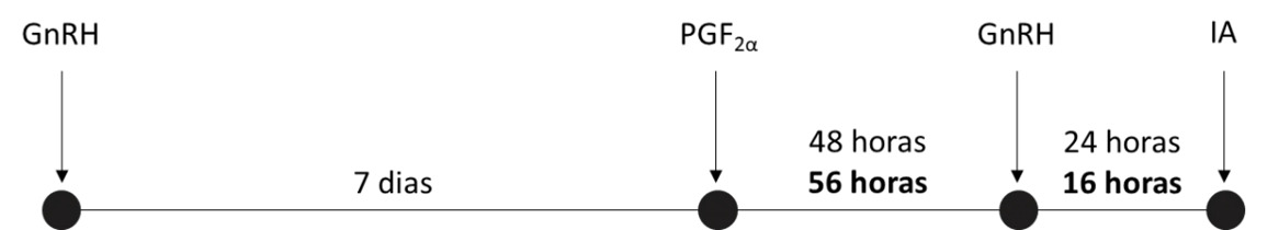 Protocolo IATF: o que é e quais são suas vantagens? | Rehagro