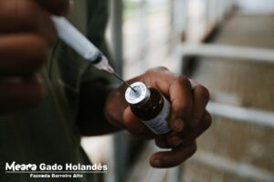 Protocolo IATF: o que é e quais são suas vantagens? | Rehagro