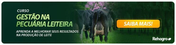 Cetose Bovina: Entenda Causas, Tratamento E Prevenção 2025