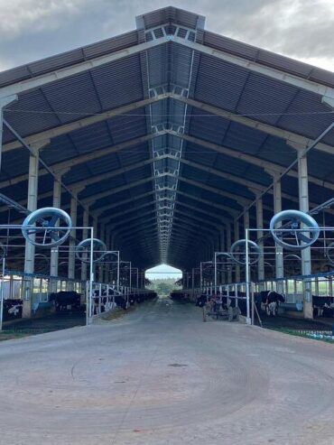 Compost Barn: o que é e quais são os seus benefícios?