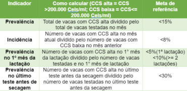 California Mastitis Test (CMT): importância na detecção da mastite
