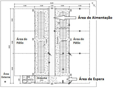 Free Stall: como planejar e executar esse sistema?