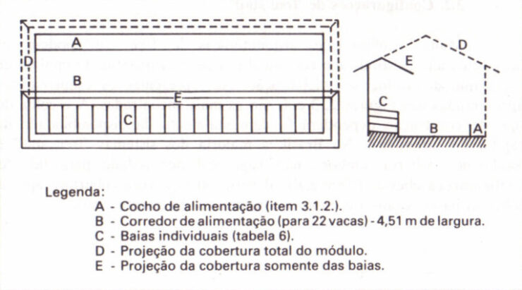 Free Stall: como planejar e executar esse sistema?