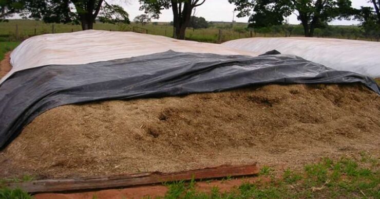 Tipos de silos: veja suas características e principais cuidados