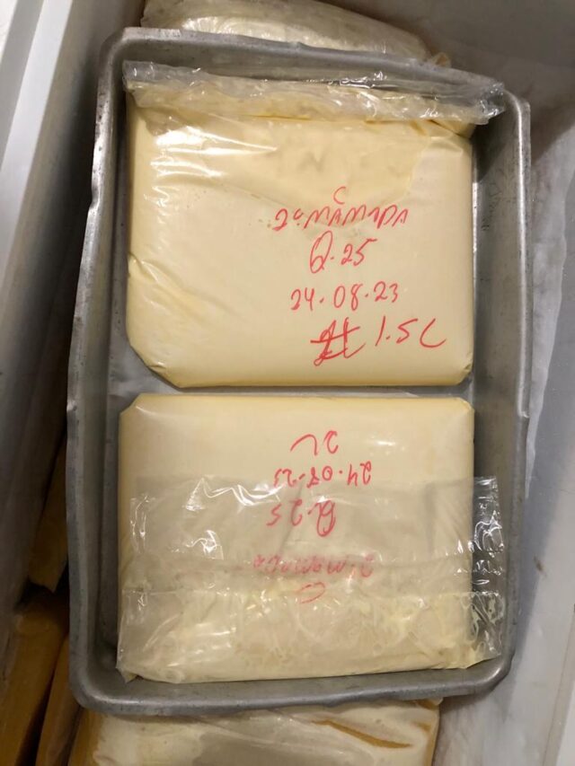 Banco de colostro: estratégia para a saúde das bezerras leiteiras