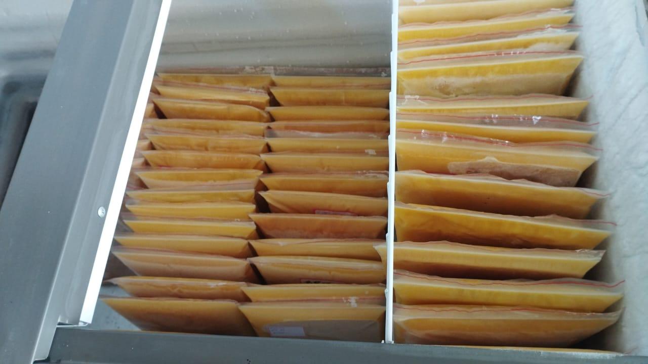 Banco de colostro: uma estratégia vital para fazendas de leite